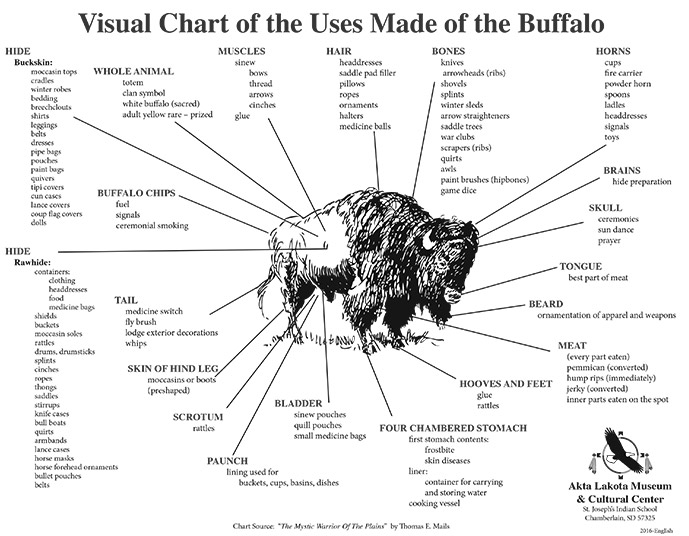 Lakota Educational Resources and Programs - Aktá Lakota Museum ...